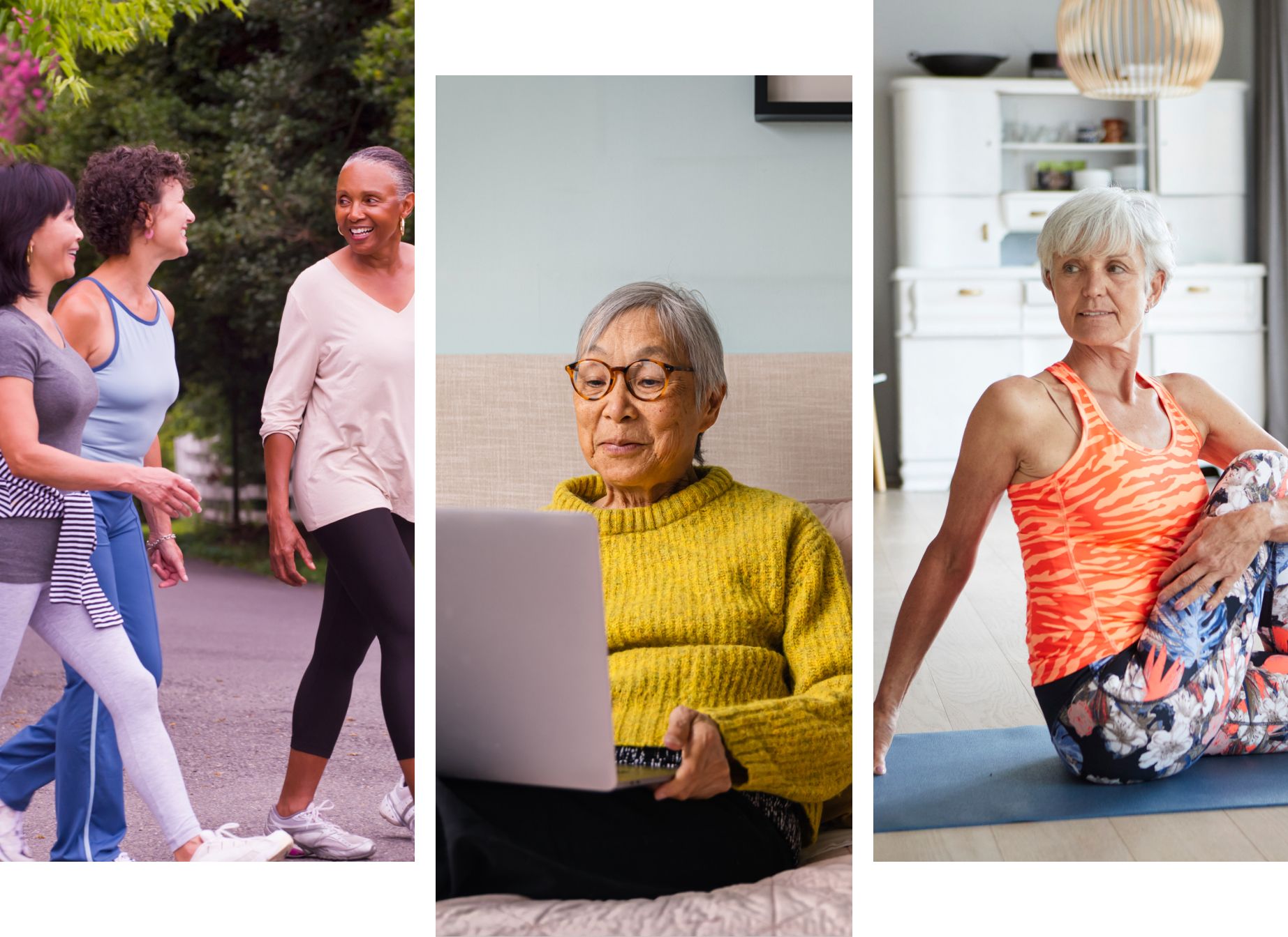 member enrichment connection and community building with healthy aging ...